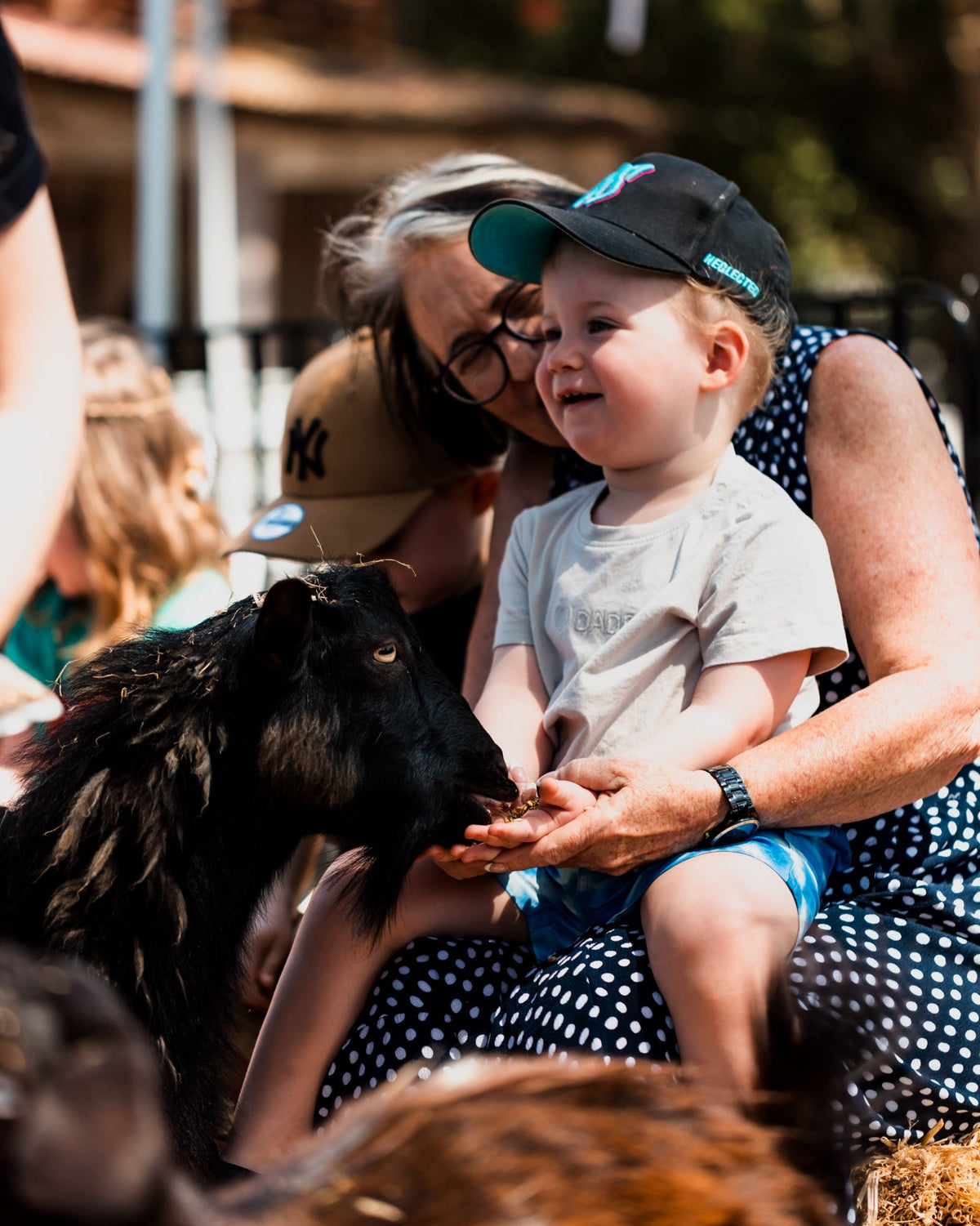 Brookies Capalaba Store - Brookies Rural Traders