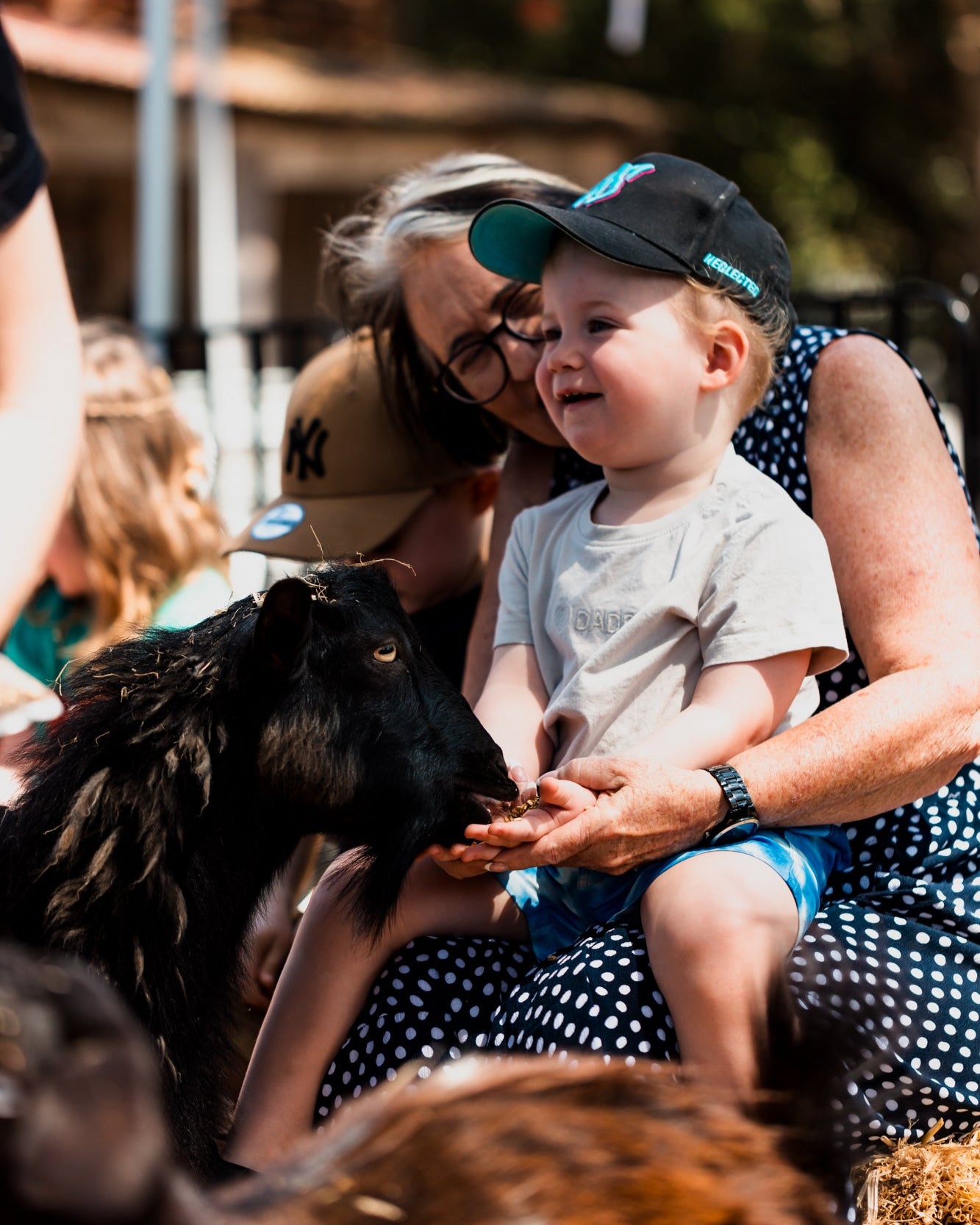 Brookies Capalaba Store - Brookies Rural Traders
