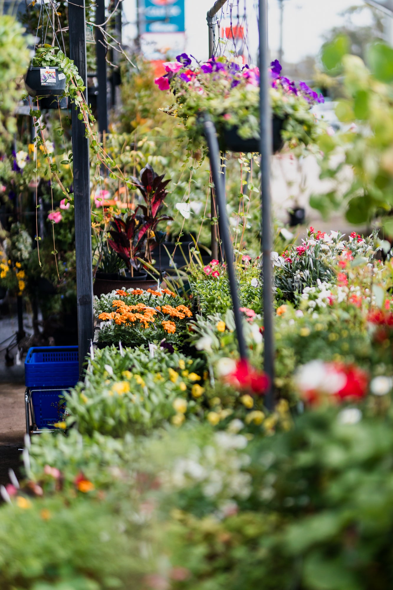 Brookies Capalaba Store - Brookies Rural Traders