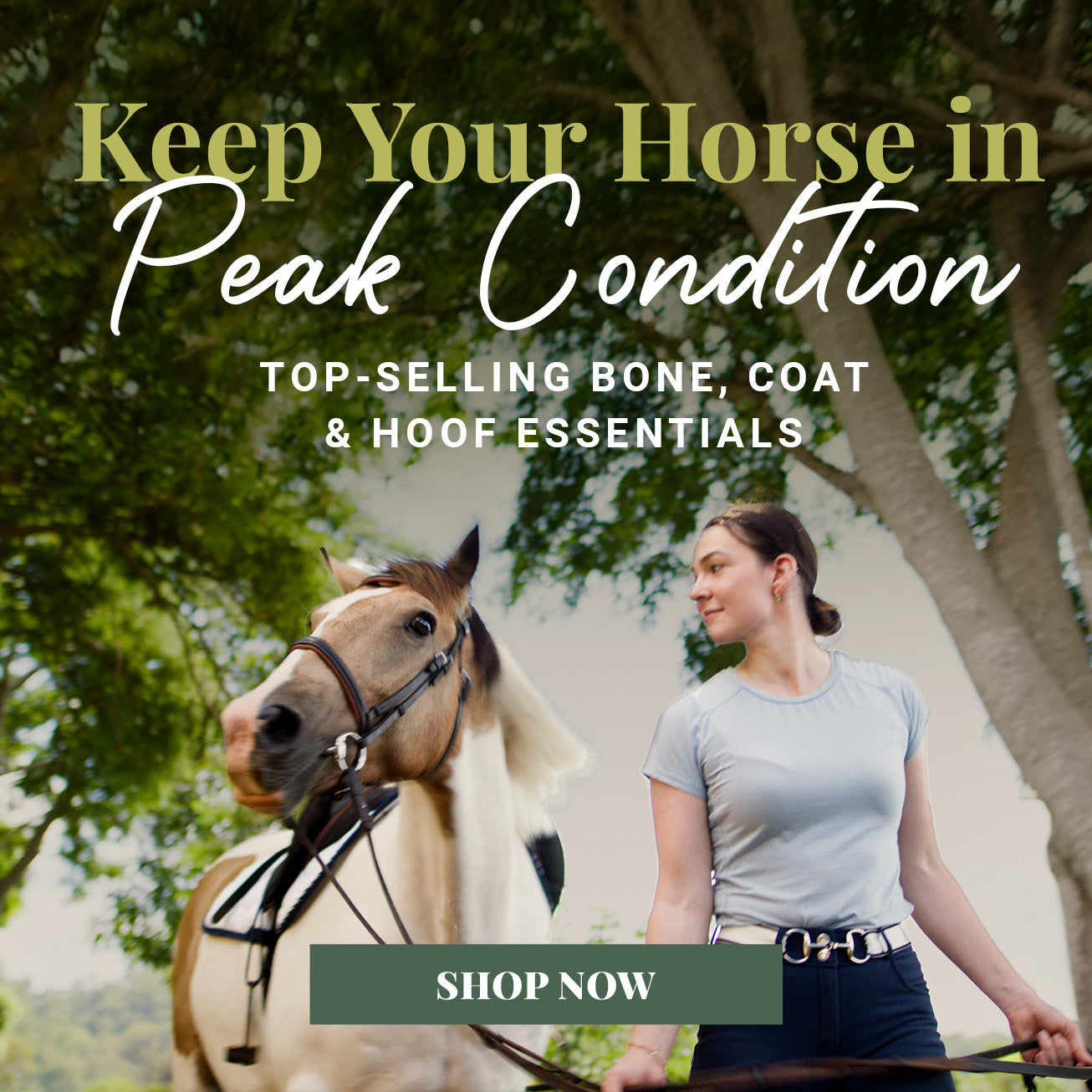 Brookies Rural Traders | Brookfield Produce