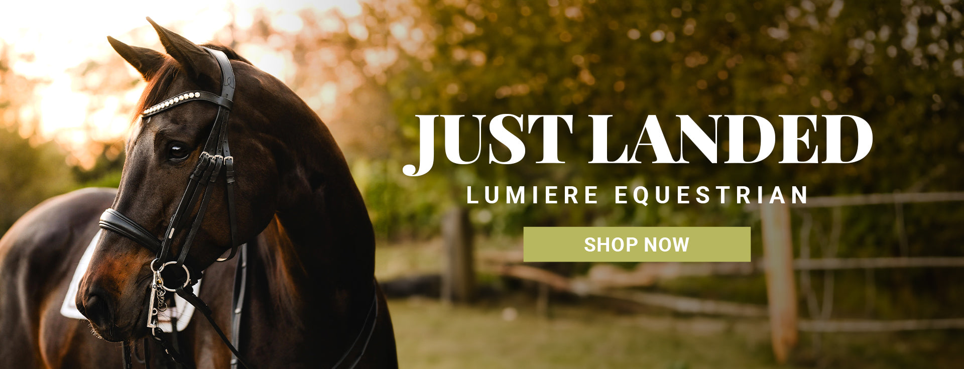 Brookies Rural Traders | Brookfield Produce