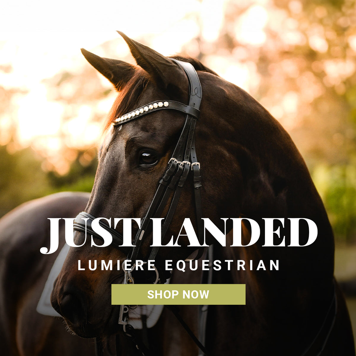 Brookies Rural Traders | Brookfield Produce