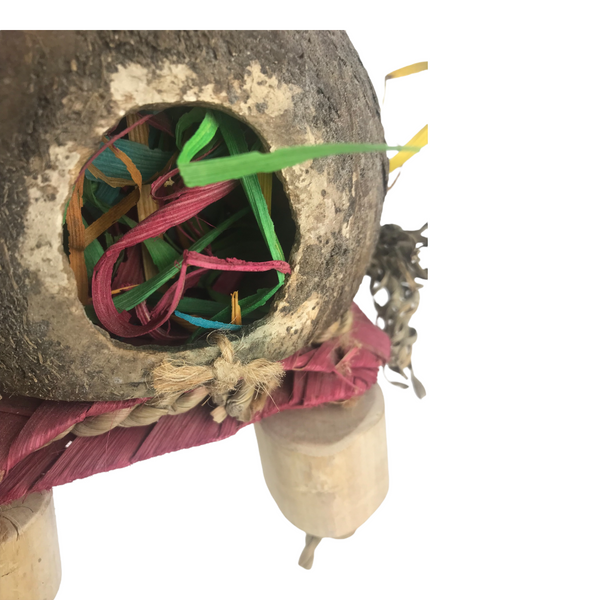 Ninos Java Turtle Forager - Brookies Rural Traders