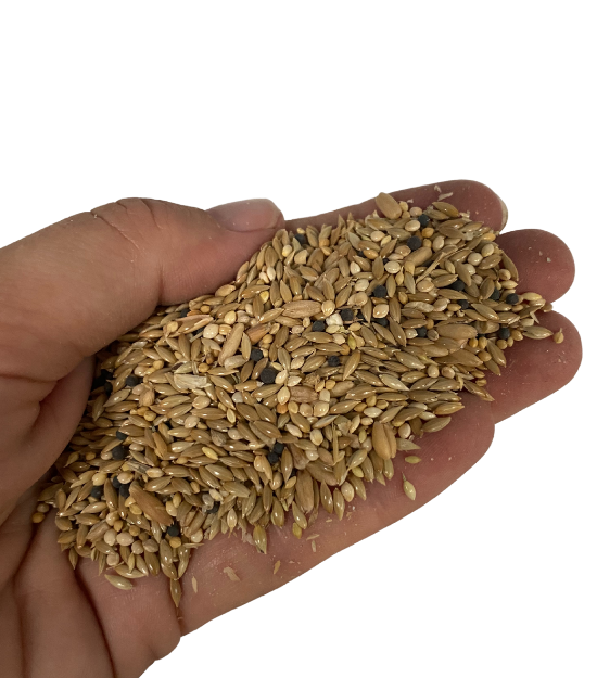 Avigrain Canary Mix - Brookies Rural Traders