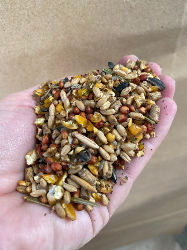 Jenco Chook Candy - Brookies Rural Traders