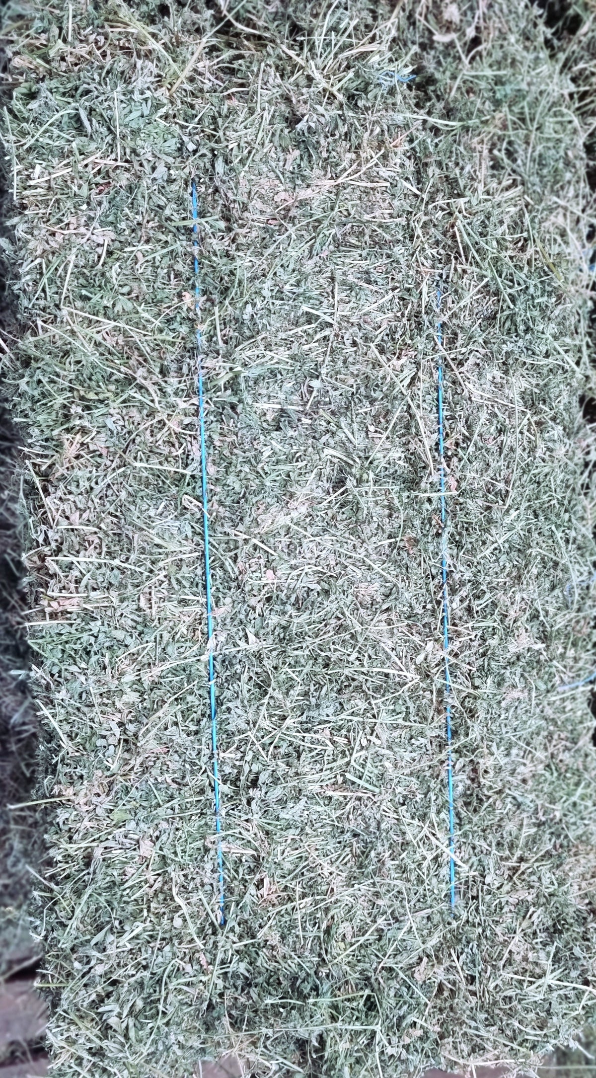 Lucerne Prime - Brookies Rural Traders