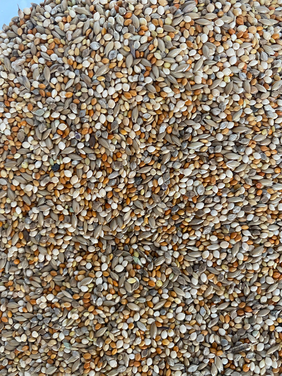 Avigrain Blue Finch Mix - Brookies Rural Traders