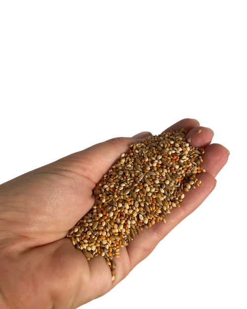 Avigrain Blue Finch Mix - Brookies Rural Traders