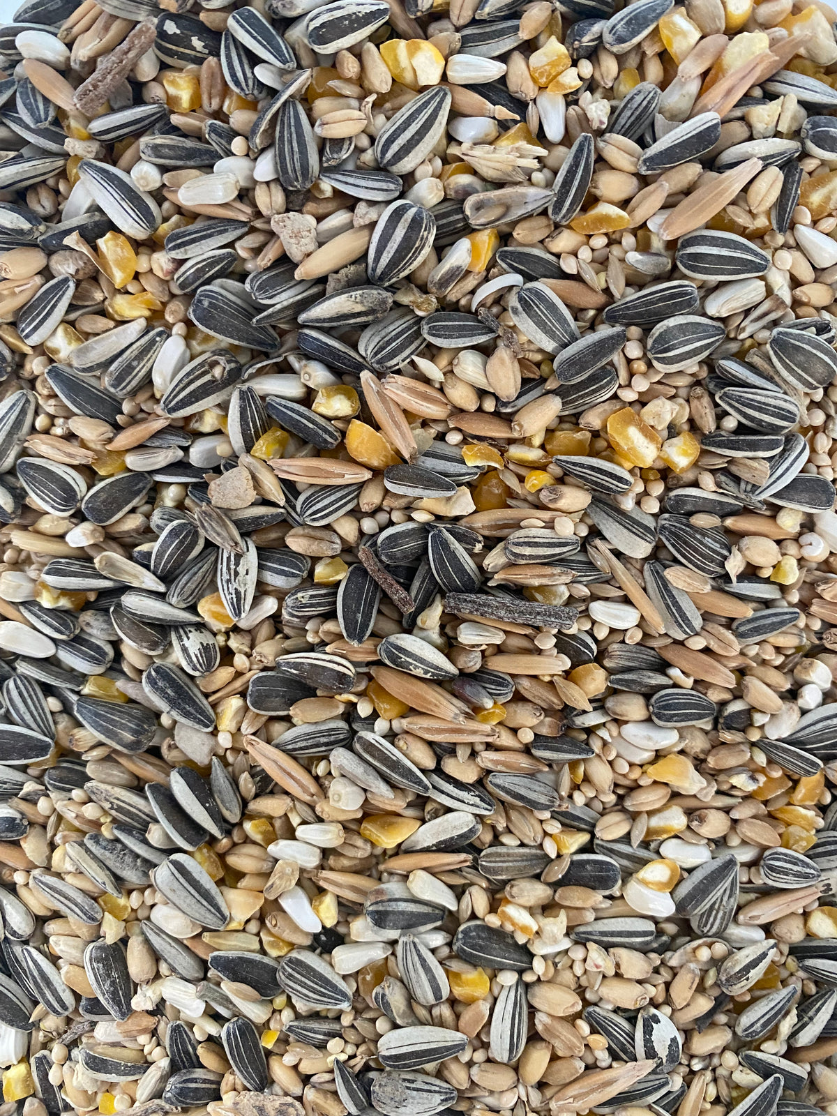 Avigrain Peachface Mix - Brookies Rural Traders